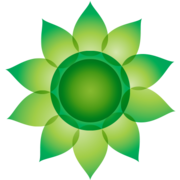 Nabhi Chakra | We Meditate
